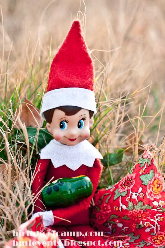 Elf on the Shelf Nursing Photos - Birth Boot Camp® Amazing Childbirth ...